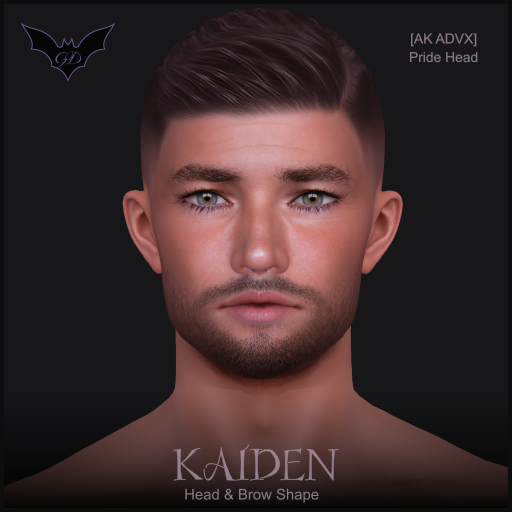 Second Life Marketplace Gd Kaiden Shape For Ak Advx Pride Head